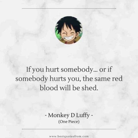 40+ One Piece Quotes Guaranteed To Inspire & Delight Readers
