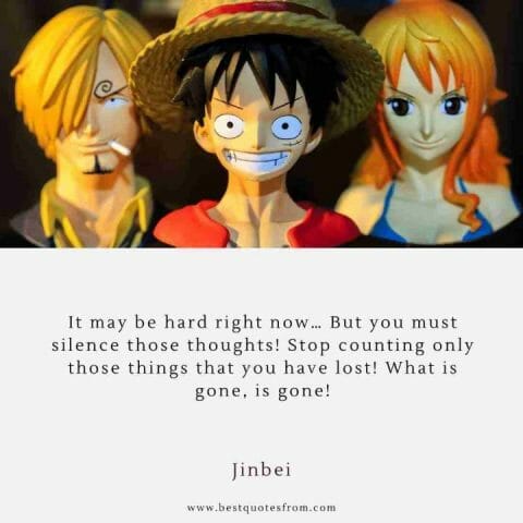 40+ One Piece Quotes Guaranteed To Inspire & Delight Readers